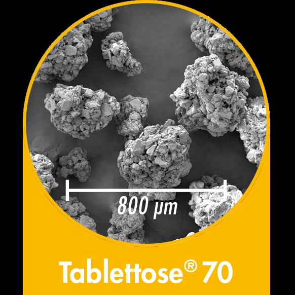 Tablettose® | MEGGLE GmbH & Co. KG | CPHI Online