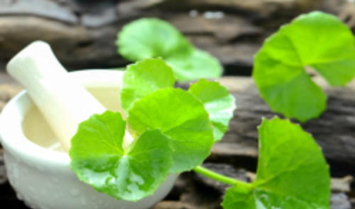 TECA™ Pharma | Seppic | CPHI Online