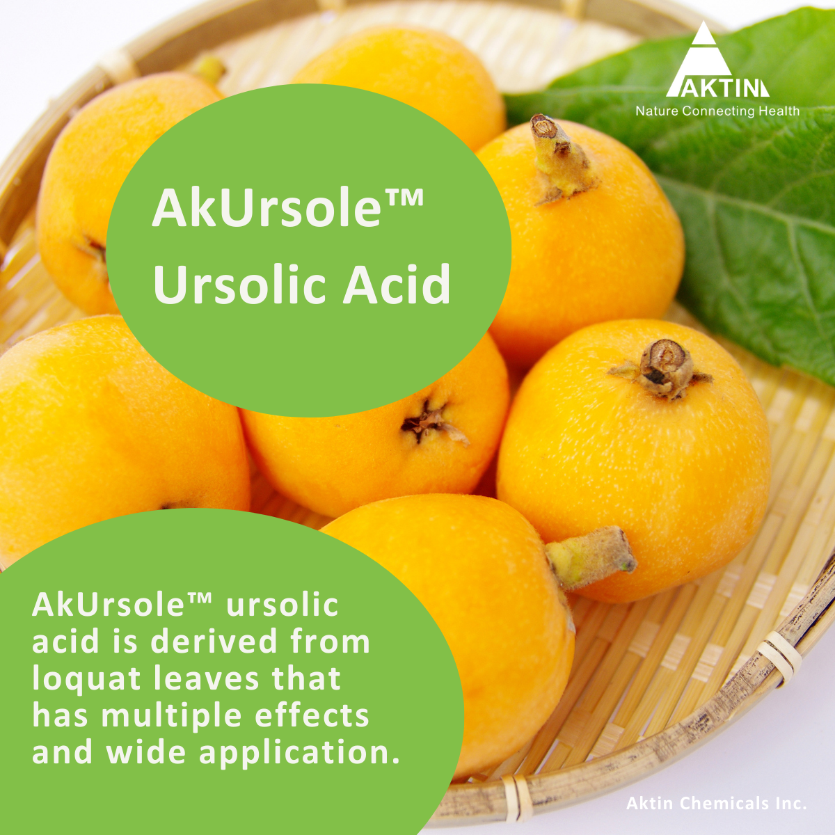 Ursolic Acid | Aktin Chemicals, Inc | CPHI Online