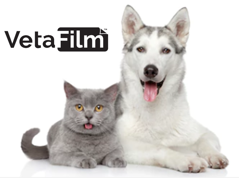 VetaFilmTM - Veterinary Oral Film Technology | IntelGenx | CPHI Online