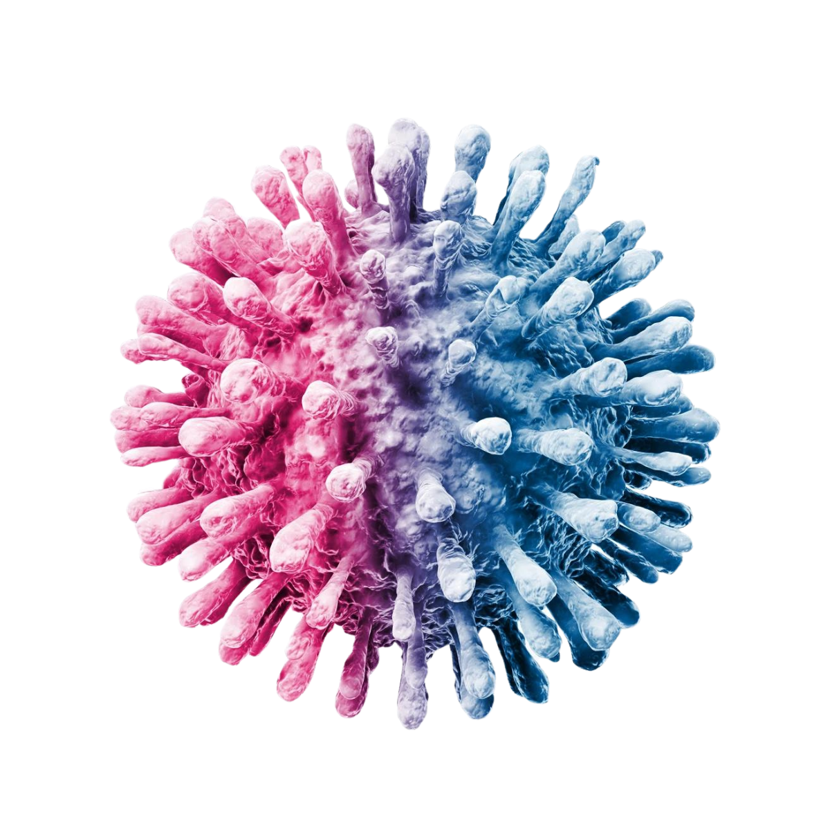 Fabulous Viral Vectors Images