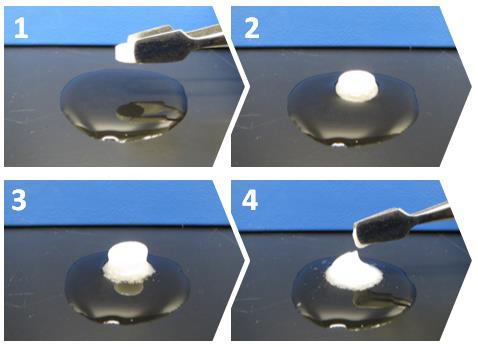 HiSORAD™: New Directly compressible excipient for Oral Disintegrating ...